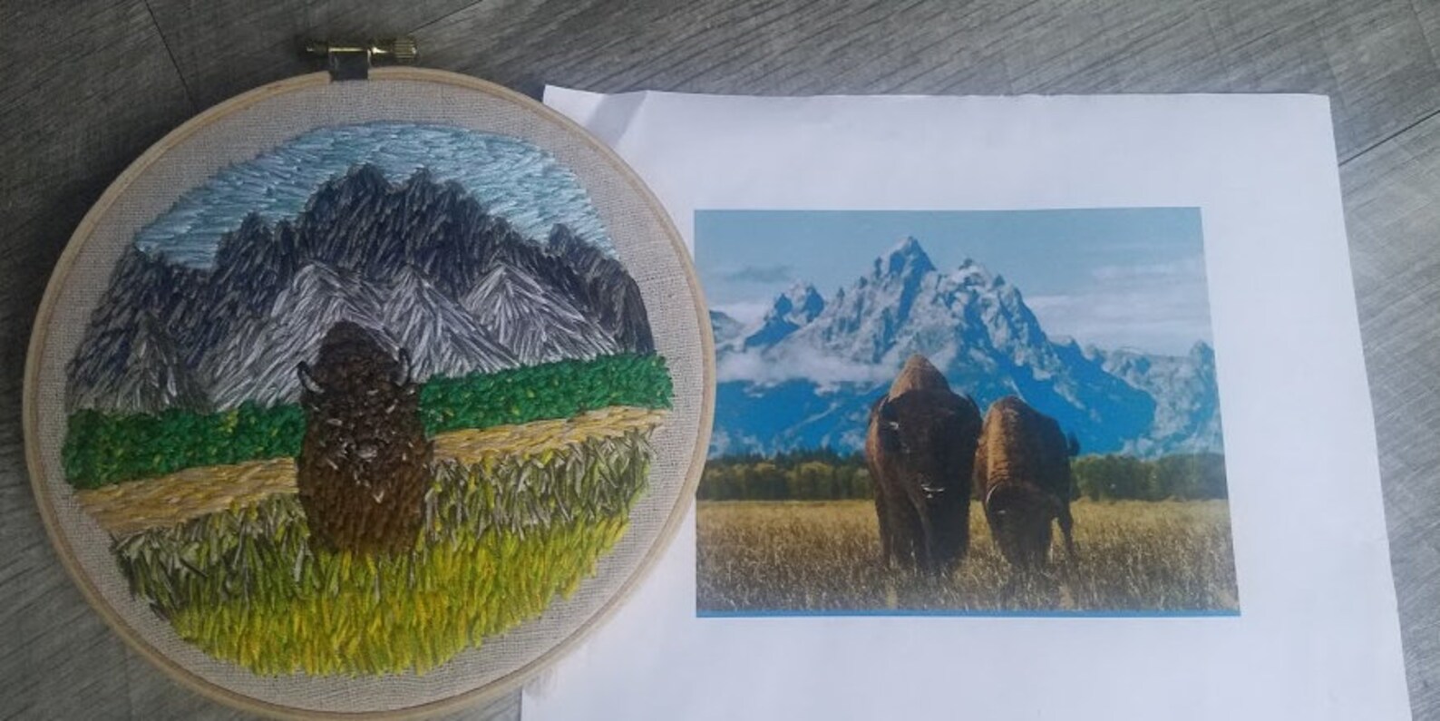 Bison in the Meadow -thread Painting - Embroidery Hoop Art - National ...