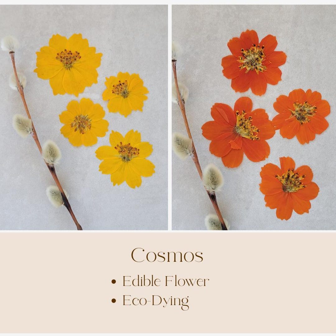 20pcs Edible Pressed Cosmos Flowers: Cake Decorating & Craft Supply - Etsy