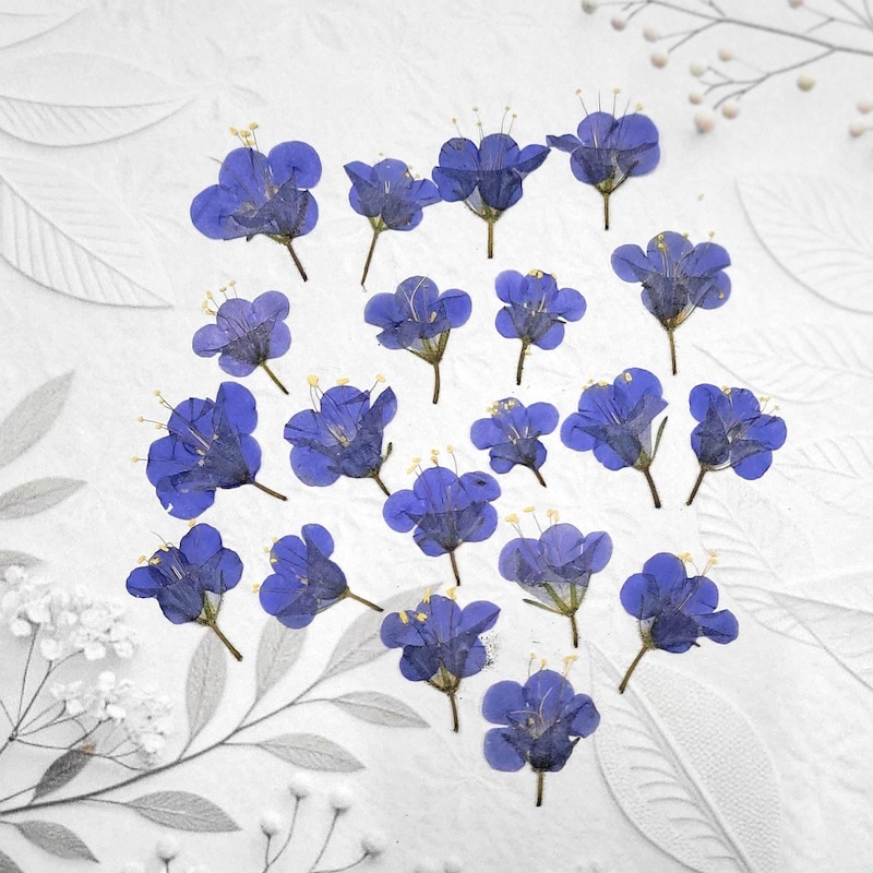 Flower Died Resin - Etsy