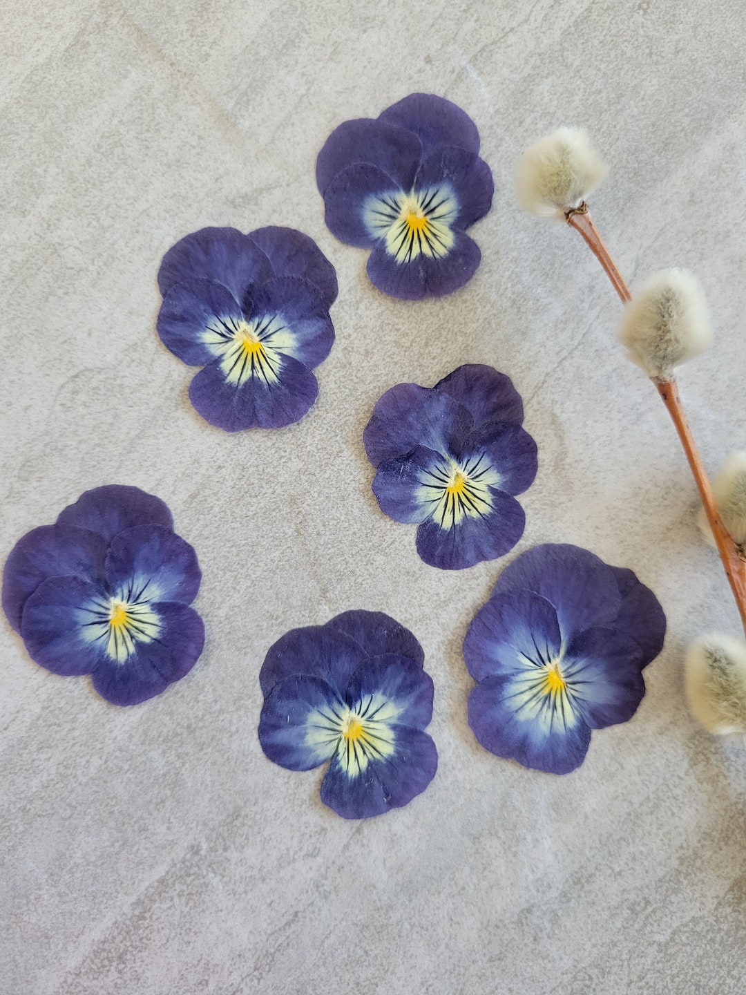 EDIBLE Dried Flowers-pressed Violas for Cakes, Cookies, Baking ...