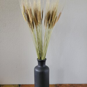 Dried Wheat Grass, 80 Stems (slim Heads) - Ornamental Grass, Natural ...