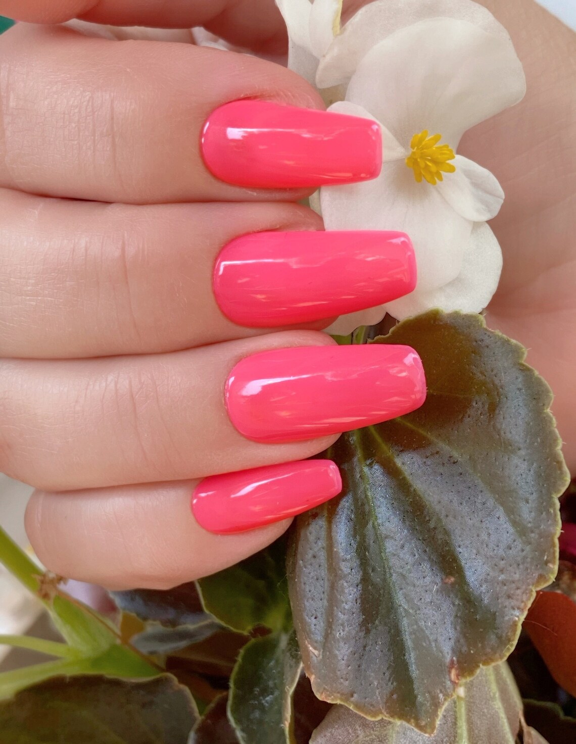 Pink Nail Polish Nail Lacquer 10 Free Nail Polish Vegan - Etsy