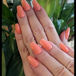 CORAL LICIOUS Orange Peach Coral Nail Polish / Natural Polish / Spring ...