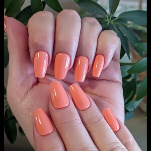 CORAL LICIOUS Orange Peach Coral Nail Polish / Natural Polish / Spring ...