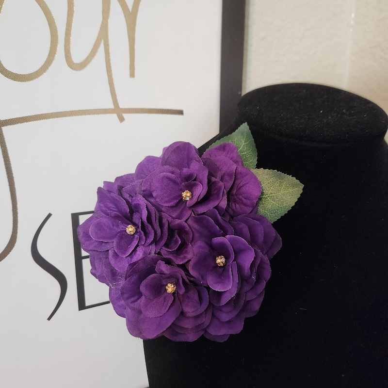 African Violets Plants - Etsy