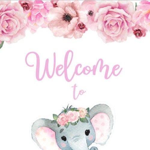 Baby Shower Welcome Sign Pink Floral - Etsy