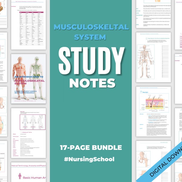 Anatomy Study Guide - Etsy