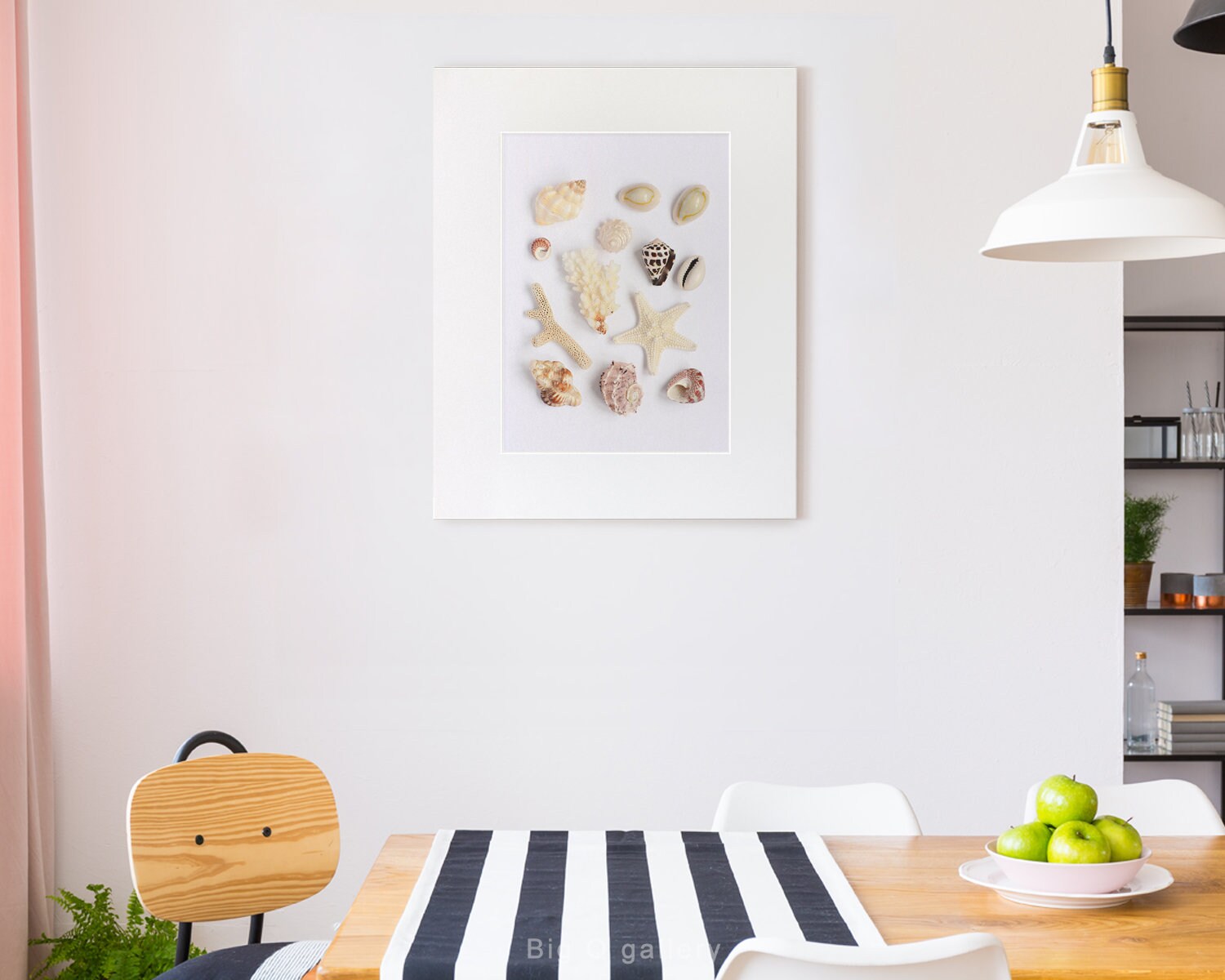 Coastal Photo Printable Wall Art Seashell Photography Beach Sea Shell ...
