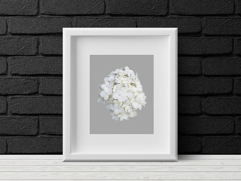 White Hydrangea Printable Wall Art Flower Print Art Photography Neutral ...