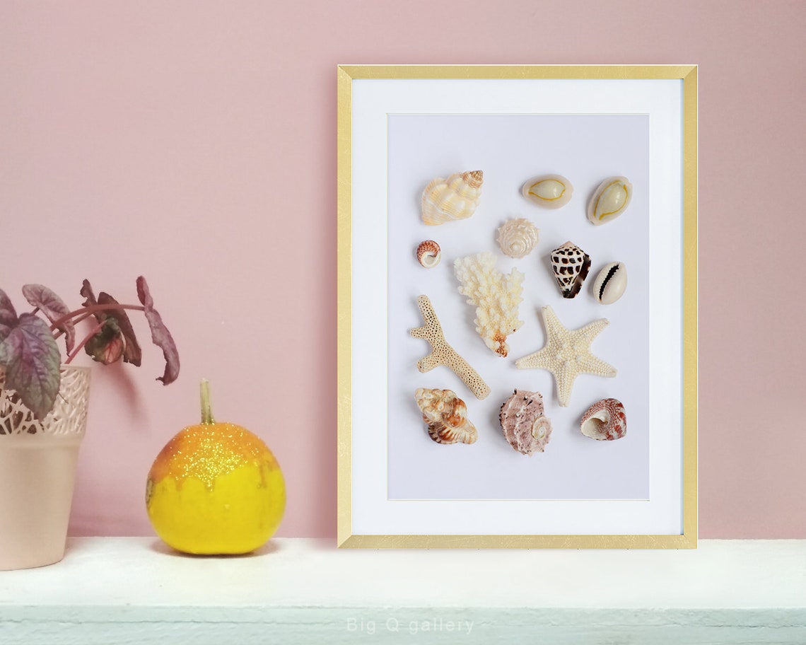 Coastal Photo Printable Wall Art Seashell Photography Beach Sea Shell ...
