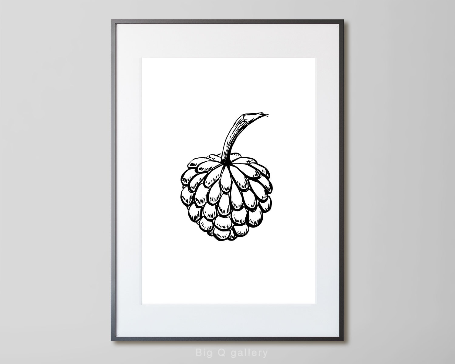 Atis Fruit Drawing