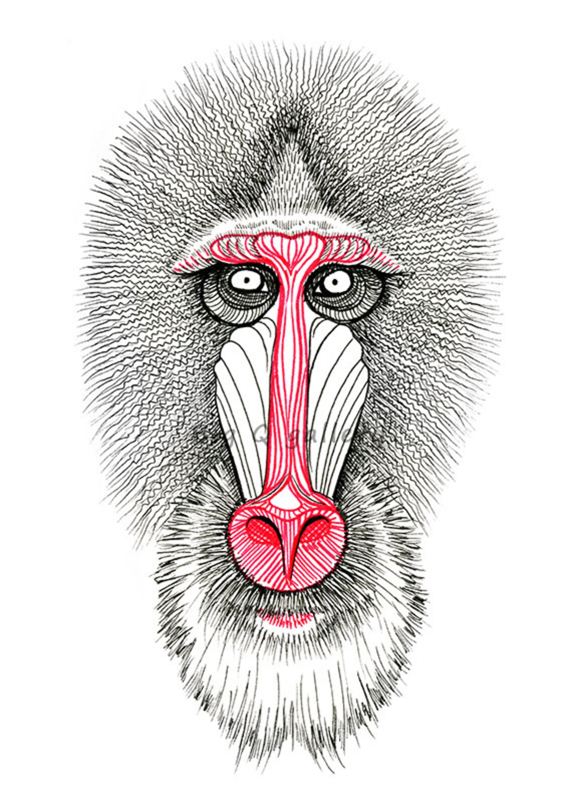 Baboon Sketch Printable Wall Art Drawn Red Nose Ape Black and Red ...
