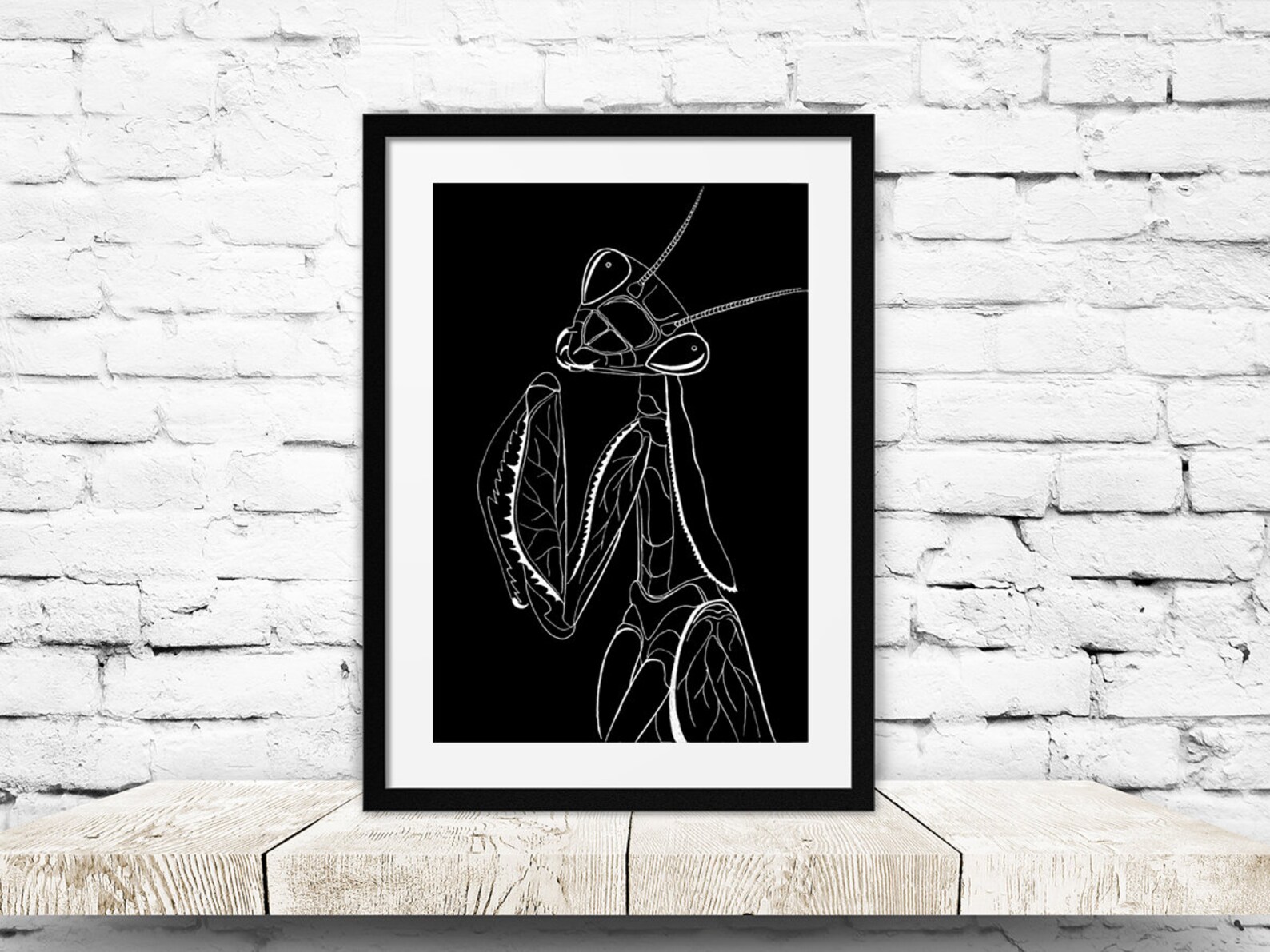 Cute Mantis Drawing Black and White Printable Wall Art. Insect Sketch ...