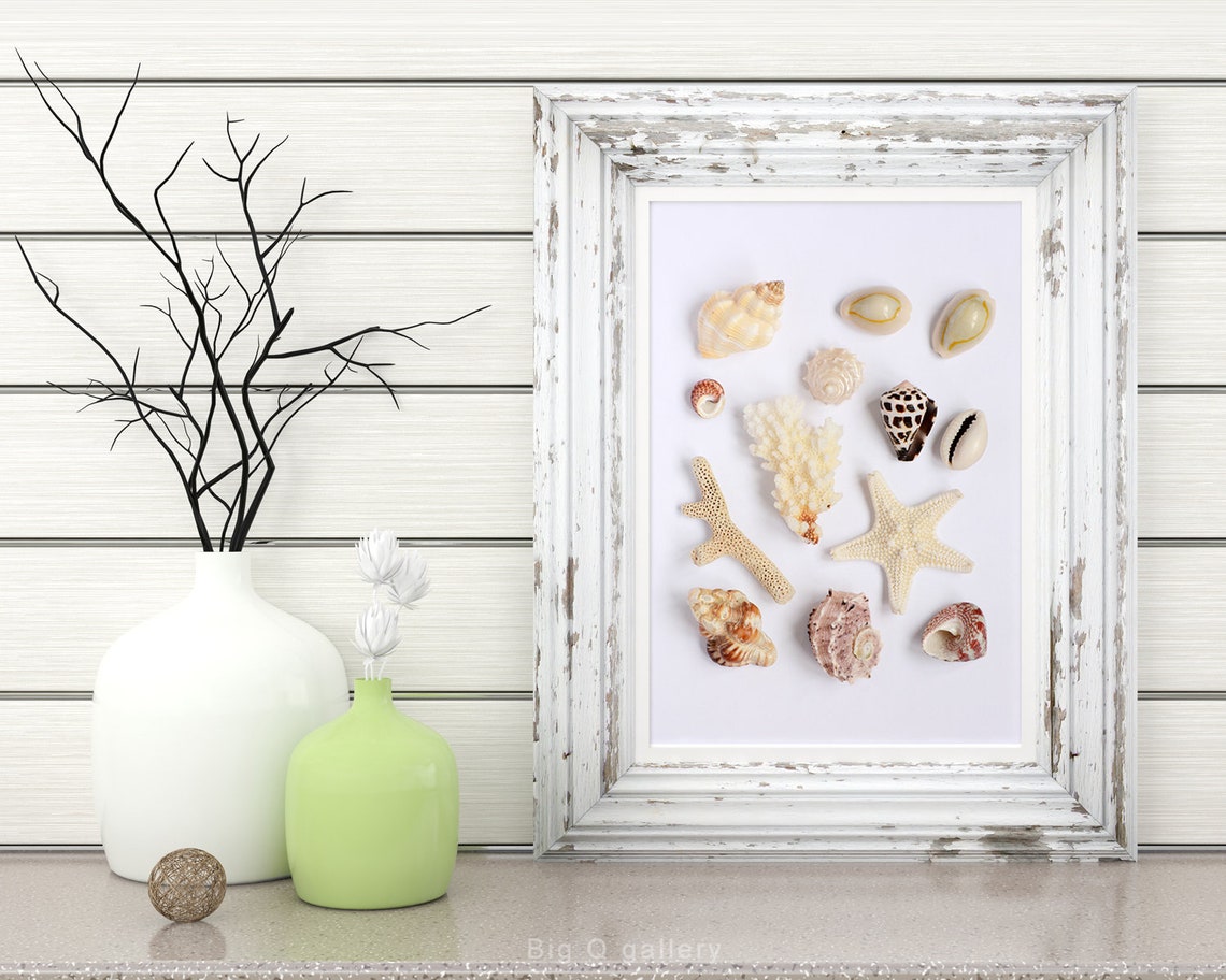 Coastal Photo Printable Wall Art Seashell Photography Beach Sea Shell ...