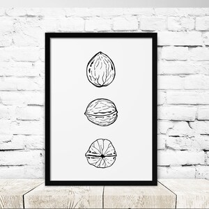 Drawn Walnuts Printable Wall Art Black and White Minimalist Graphic ...