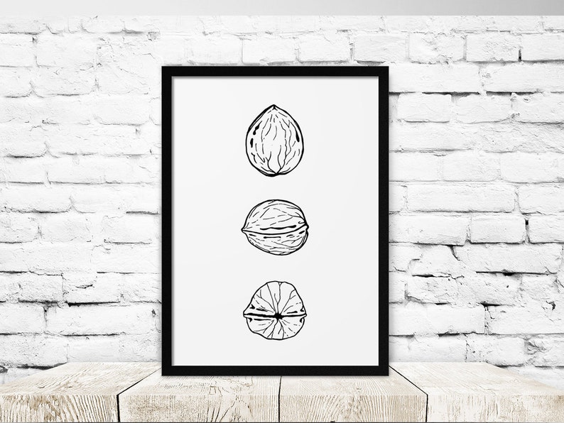 Drawn Walnuts Printable Wall Art Black and White Minimalist Graphic ...