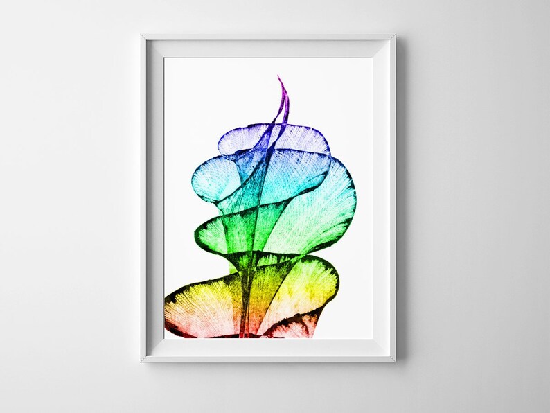 Color Abstract Printable Wall Art Minimalist Print Modern Graphic ...