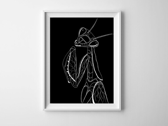 Cute Mantis Drawing Black and White Printable Wall Art. Insect - Etsy