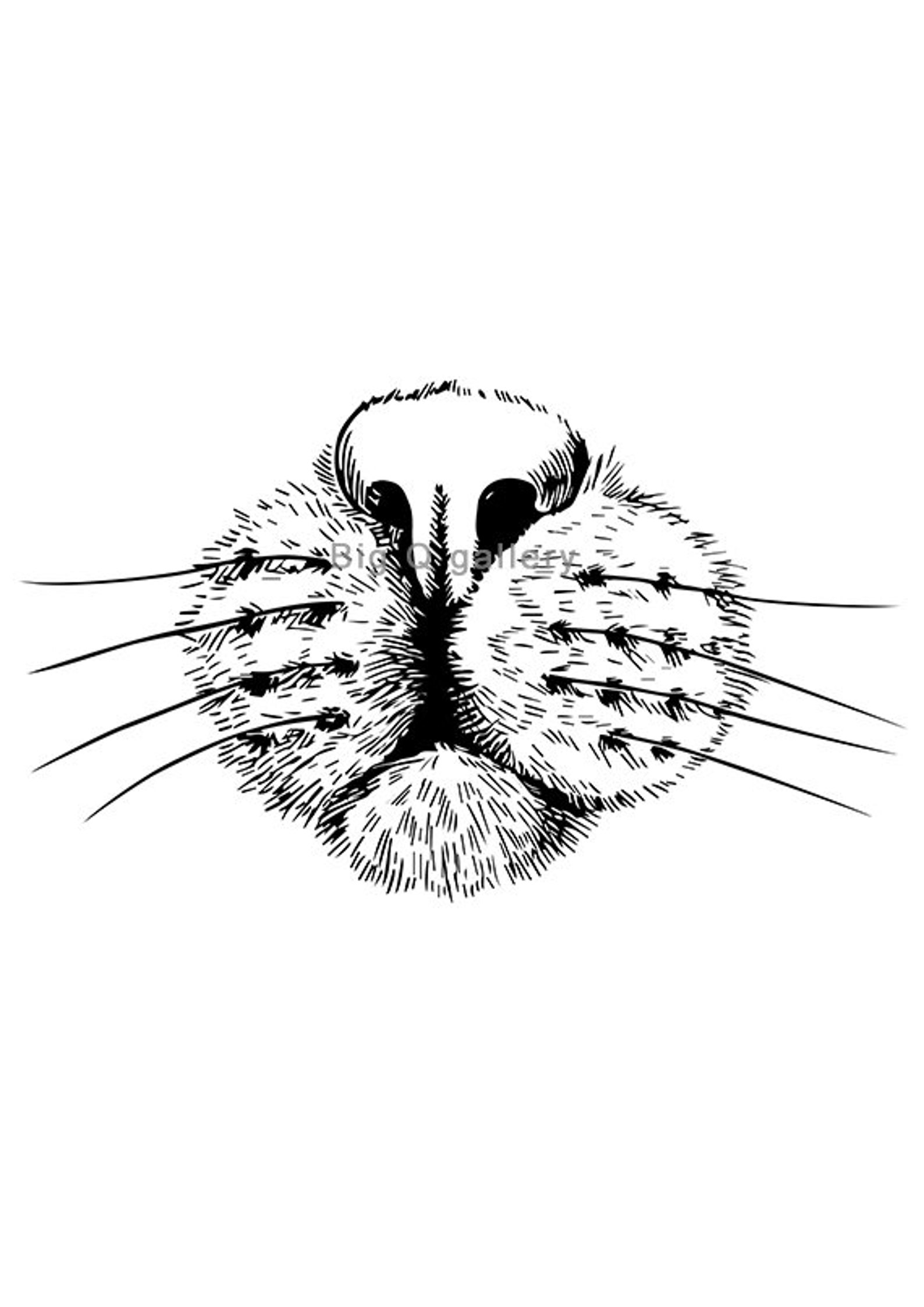Cat Nose Printable Wall Art Black and White Cat Sketch Print Drawn Cats ...