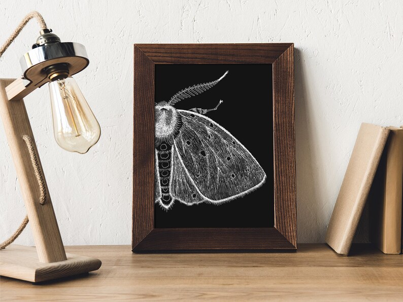 Insect Sketch Black and White Printable Wall Art White Ermine Moth Ink ...