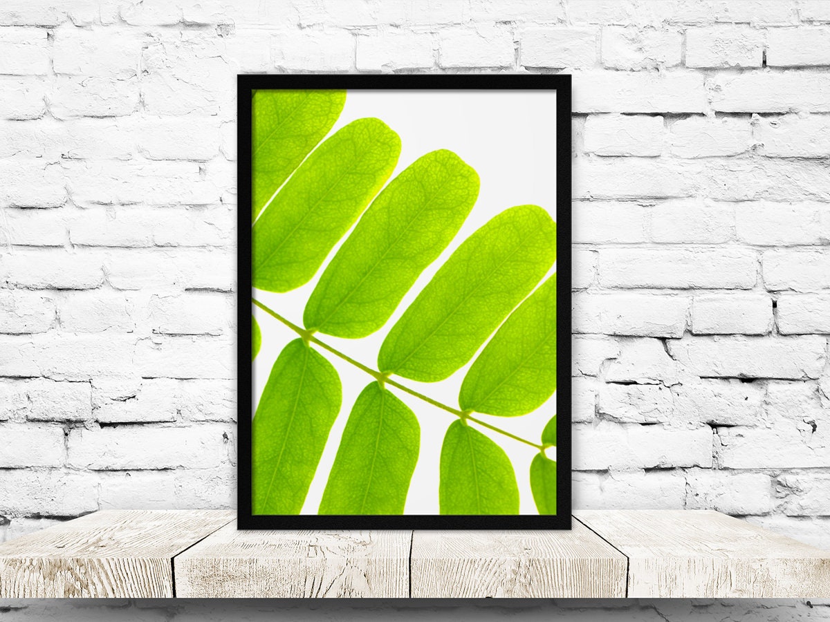 Green Leaves Printable Wall Art Art Photography Nature Poster - Etsy