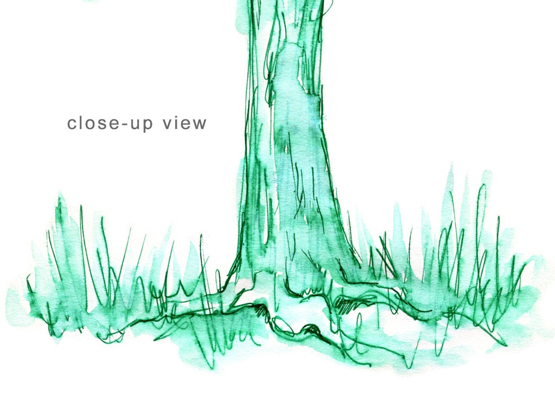 Drawn Tree Printable Wall Art Nature Nursery Print Green Tree - Etsy