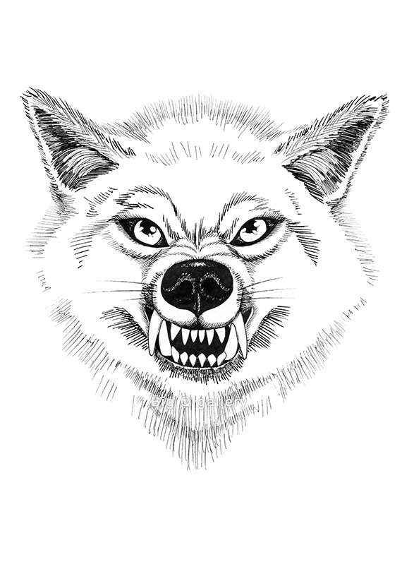 Angry Dog Face Drawing