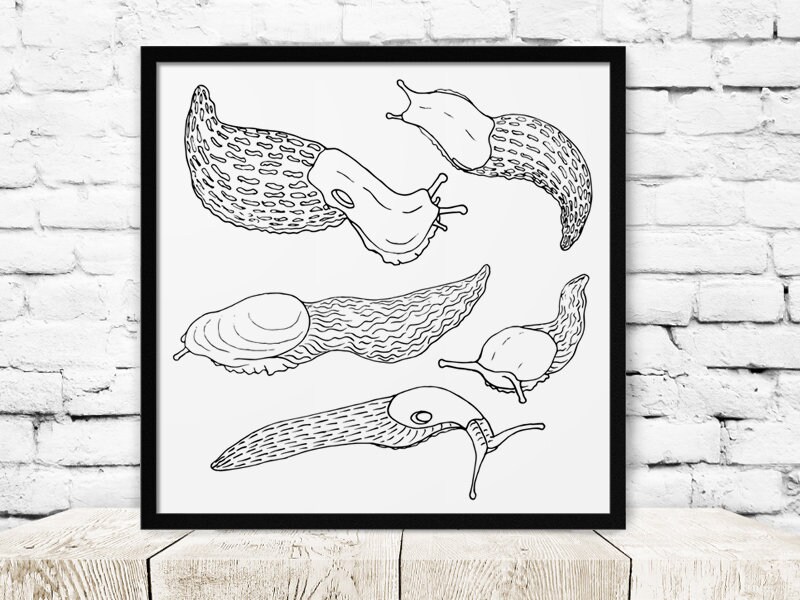 Slug Black and White Printable Wall Art Drawn Snail Graphic Poster ...
