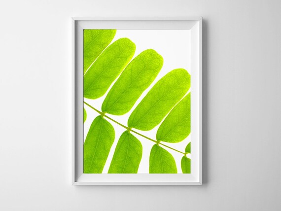 Green Leaves Printable Wall Art Art Photography Nature Poster | Etsy