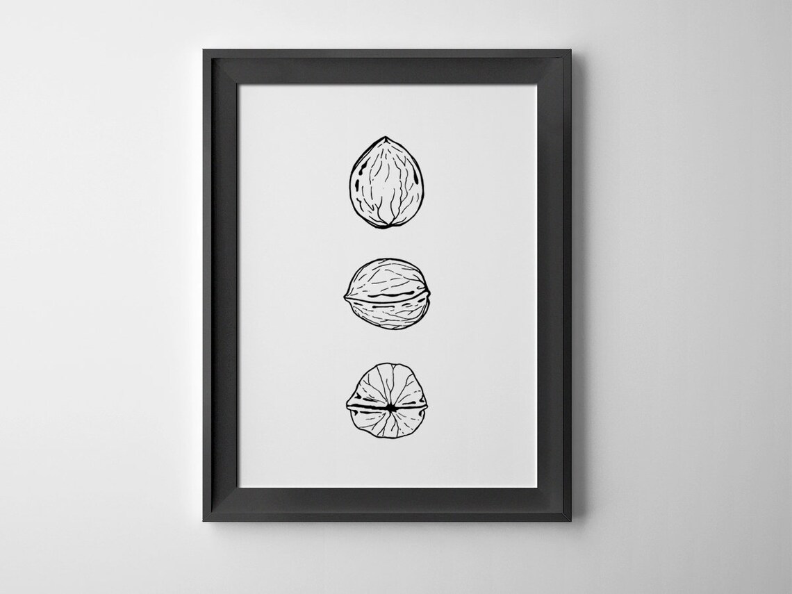 Drawn Walnuts Printable Wall Art Black and White Minimalist Graphic ...
