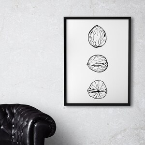 Drawn Walnuts Printable Wall Art Black and White Minimalist Graphic ...
