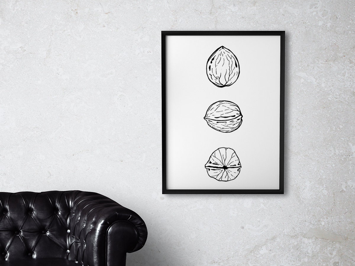 Drawn Walnuts Printable Wall Art Black and White Minimalist Graphic ...