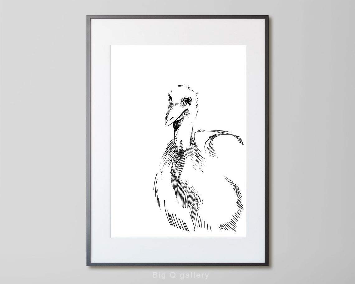 Ostrich Sketch Printable Wall Art Black and White Bird Drawing - Etsy