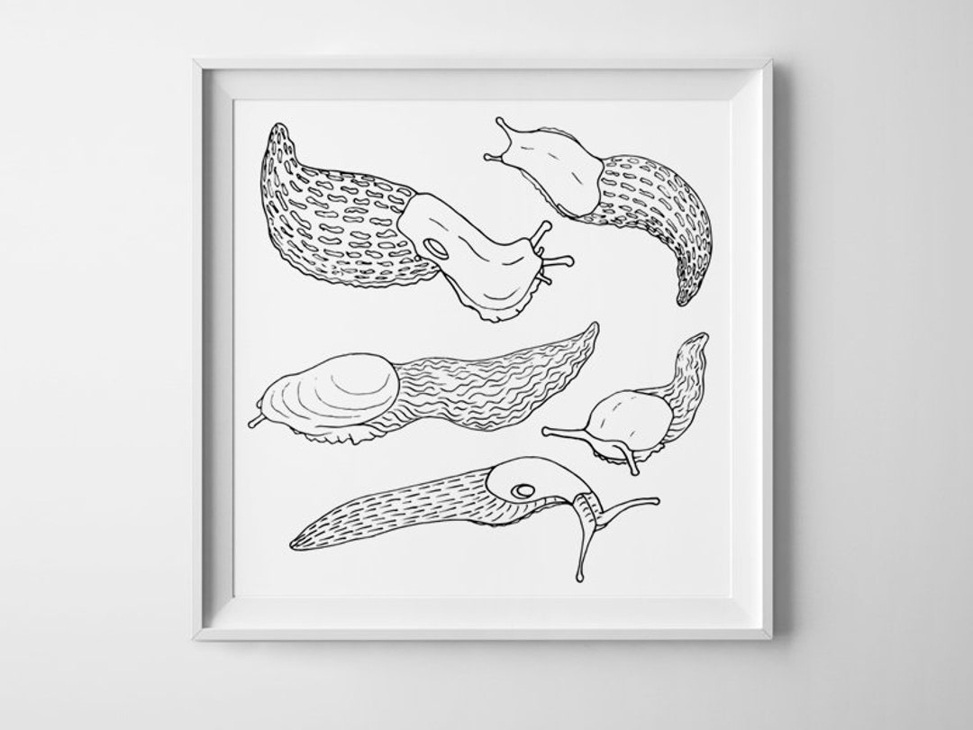 Slug Black and White Printable Wall Art Drawn Snail Graphic Poster ...