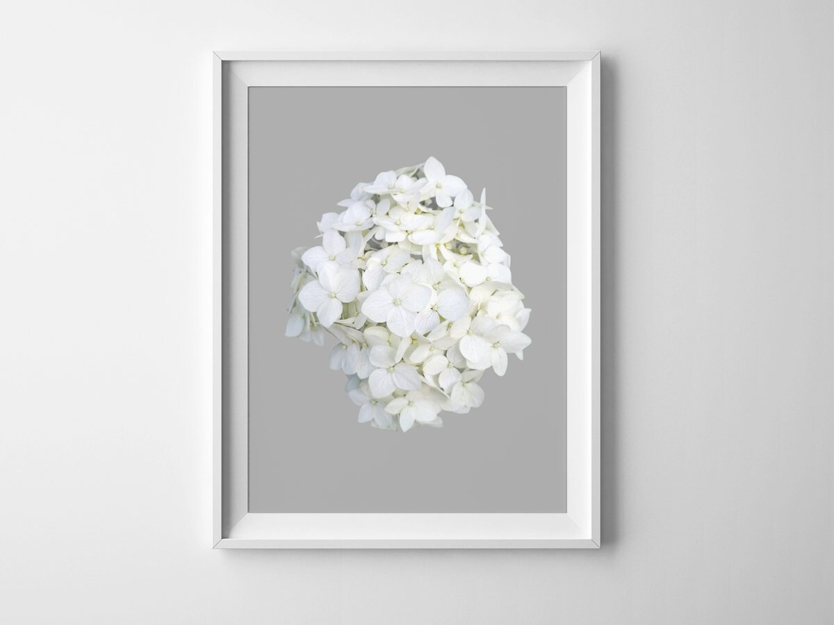 White Hydrangea Printable Wall Art Flower Print Art Photography Neutral ...