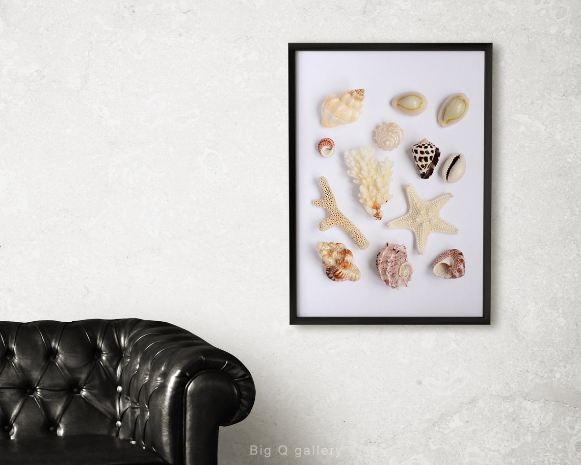 Coastal Photo Printable Wall Art Seashell Photography Beach Sea Shell ...