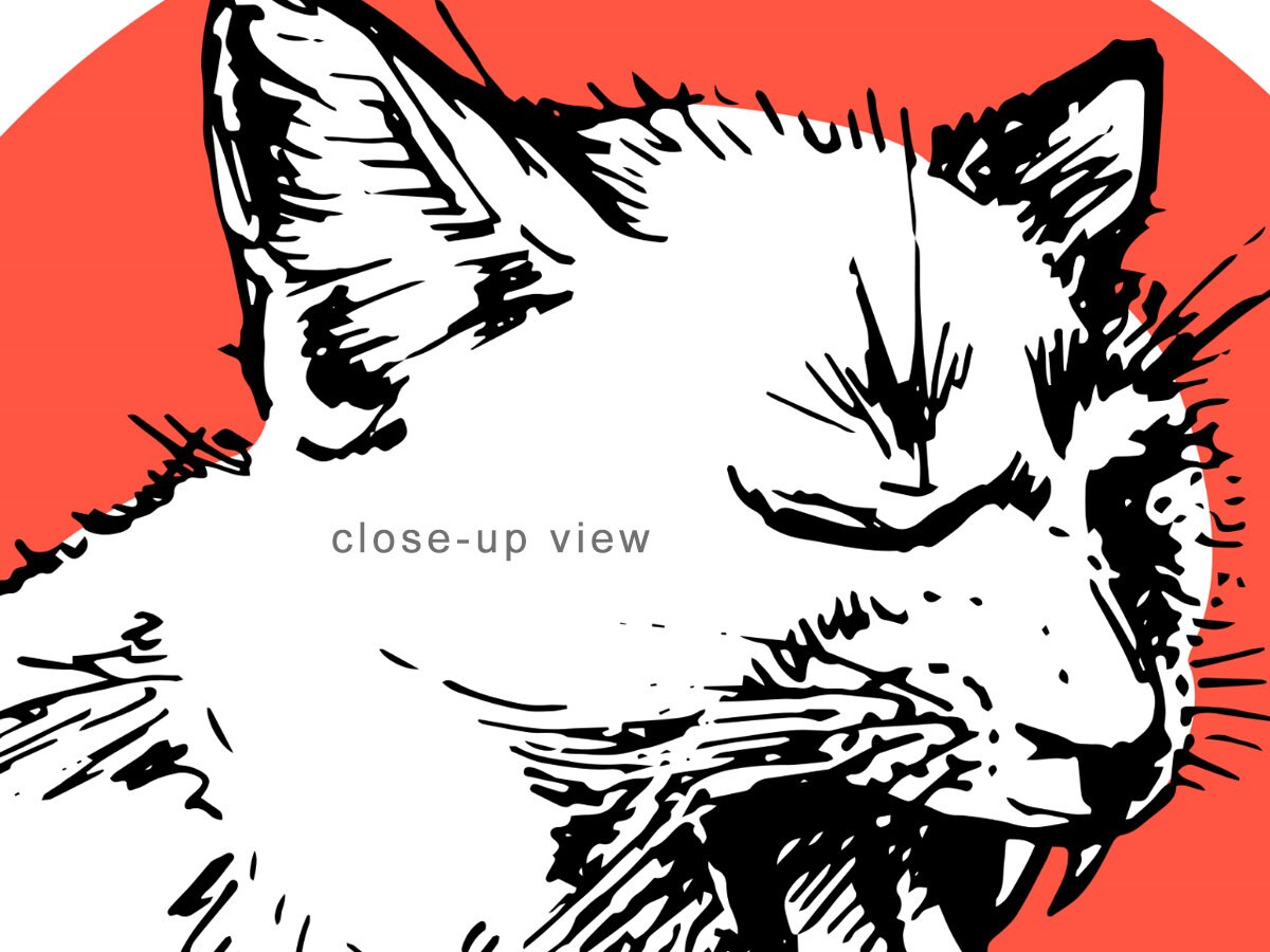 Motivational Cat Printable Wall Art Animal Sketch Love Poster - Etsy