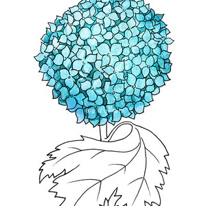 Blue Hydrangea Printable Wall Art Botanical Watercolor Flower Drawn ...