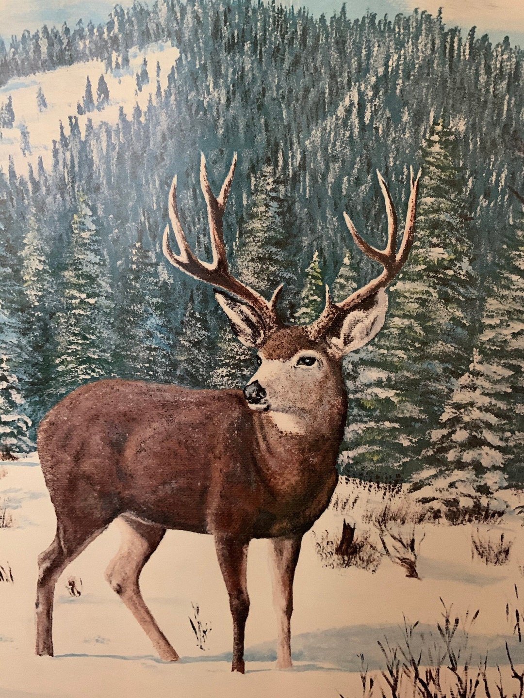 Vintage Signed Deer Lithograph / Ten Point Buck Print / - Etsy