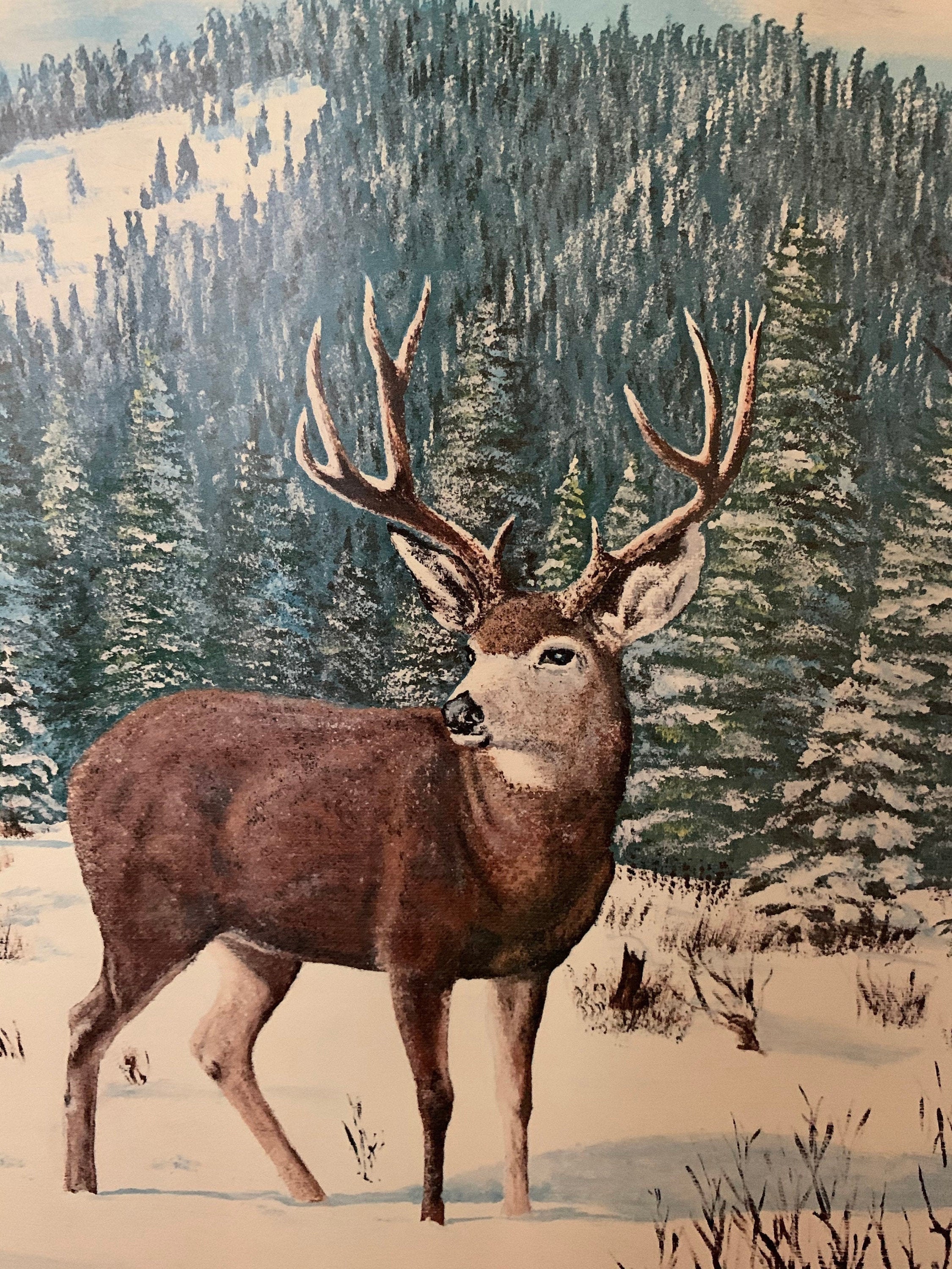 Vintage Signed Deer Lithograph / Ten Point Buck Print / - Etsy