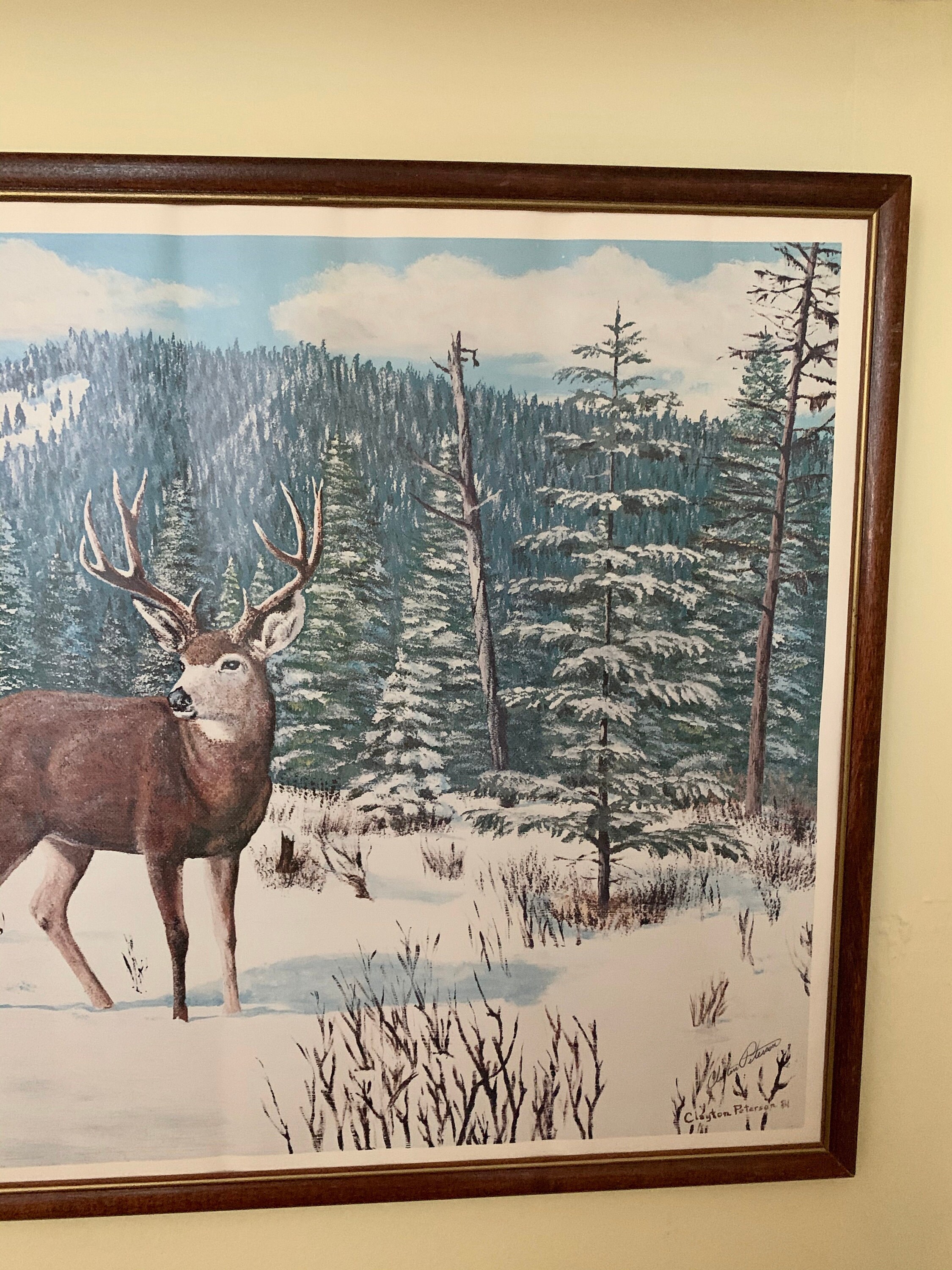 Vintage Signed Deer Lithograph / Ten Point Buck Print / - Etsy