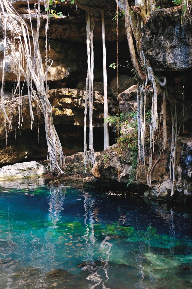 Cenote X'batun Yucatán Mexico Color Photography Print - Etsy