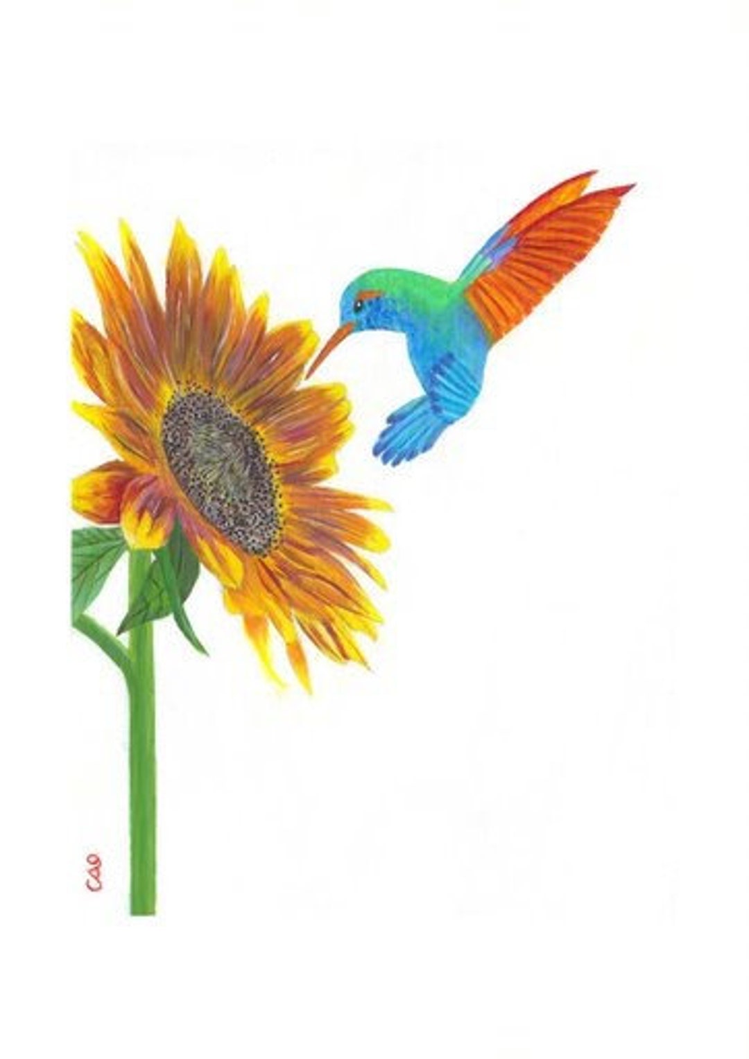 Little Bird Hummingbird and Sunflower Painting. A4 Fine Art Print. - Etsy