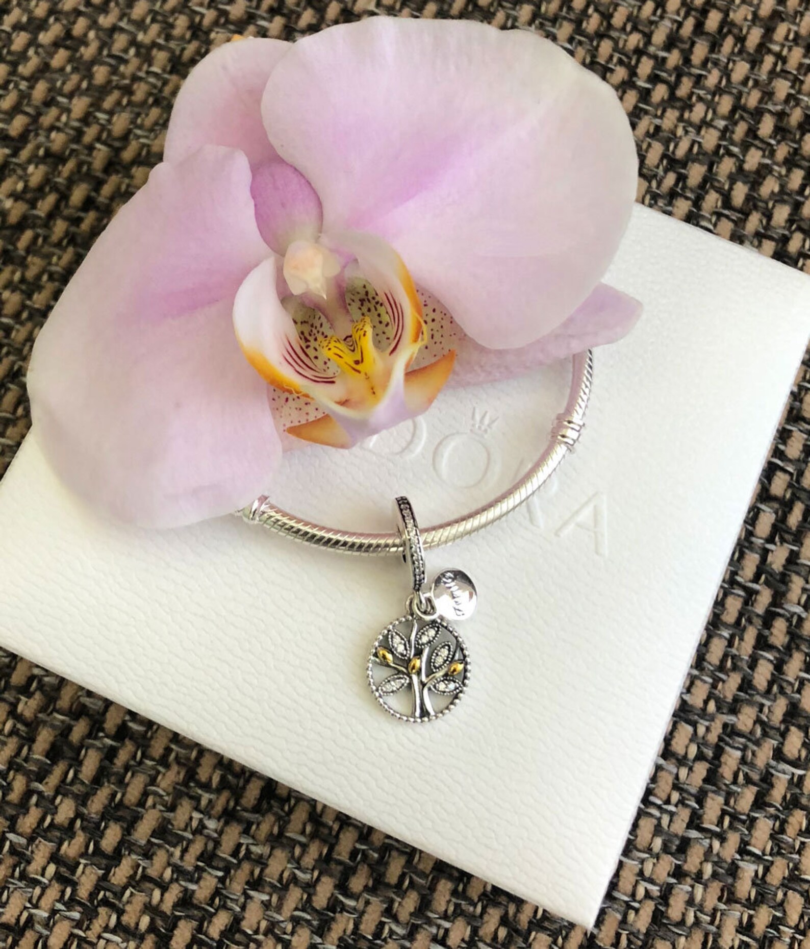 Pandora Family Heritage Tree Charm Bracelet Bead Sterling | Etsy