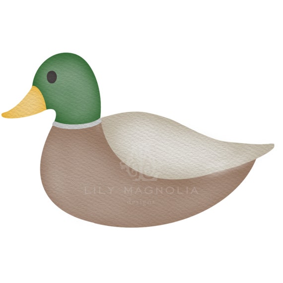 Aquarell Ente Clip Art Aquarell Ente png Aquarell png | Etsy