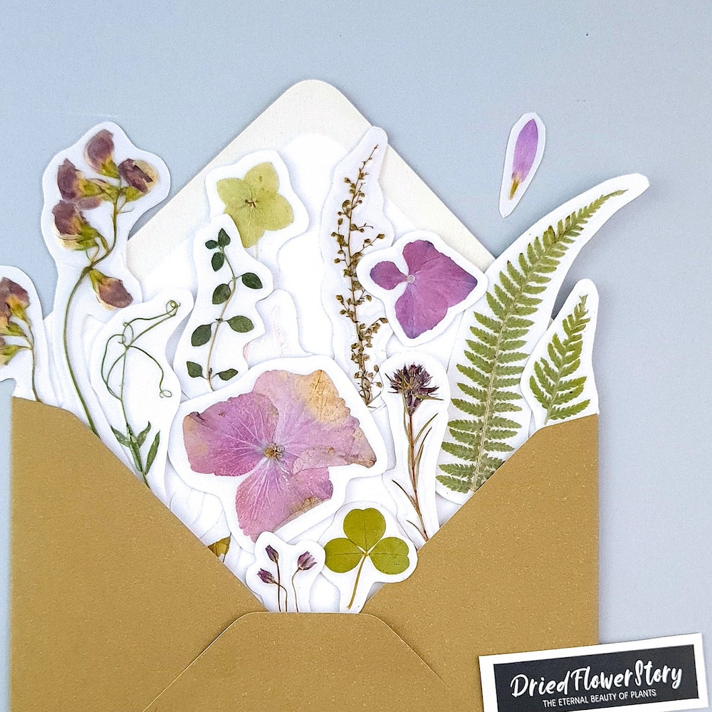 DriedFlowerStory - Etsy