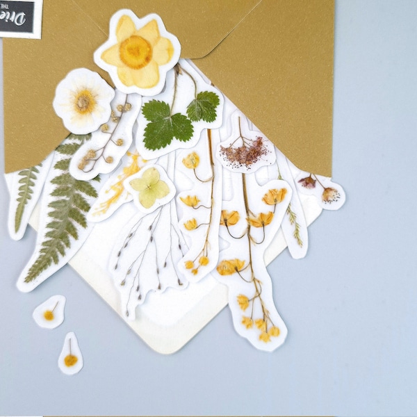 Real Flower Stickers - Etsy