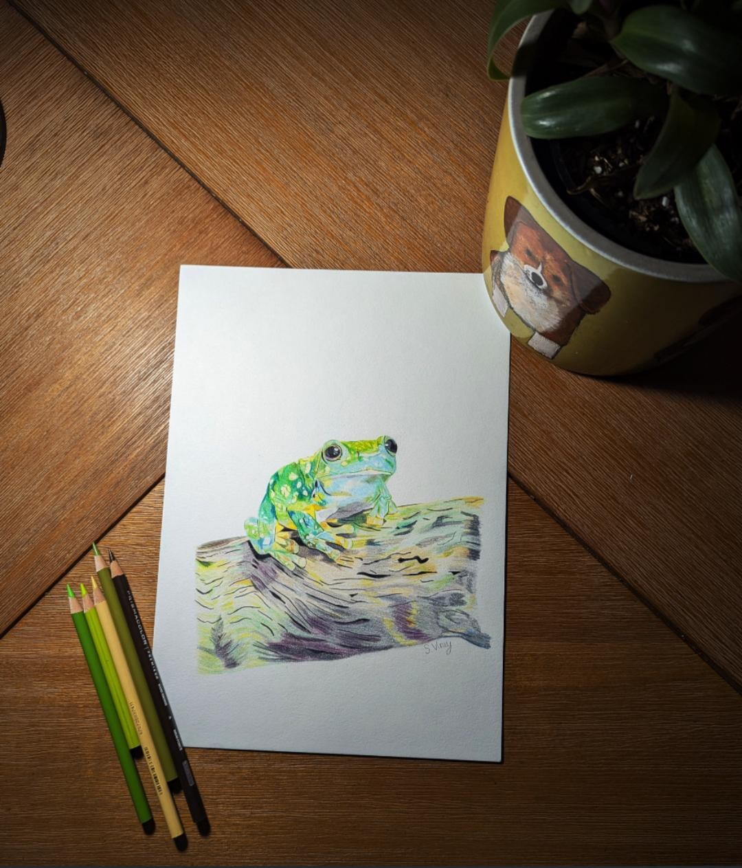 Green Tree Frog Portrait, Pencil Drawing, Original Artwork - Etsy