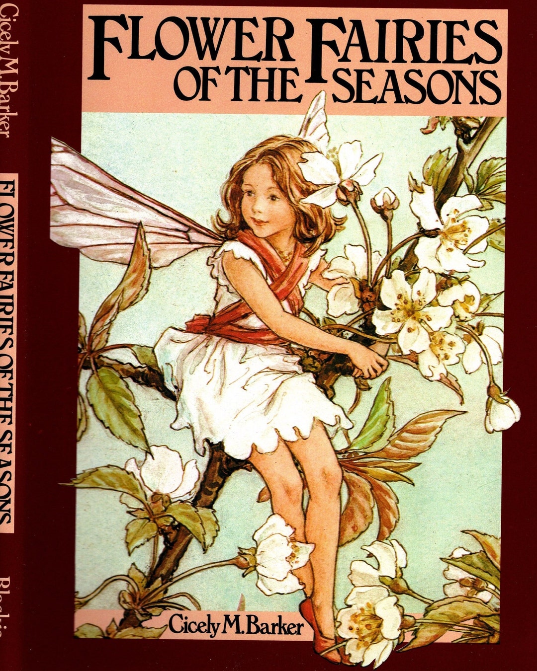 1981 Flower Fairies of the Seasons Original Vintage Print Cicely Mary ...