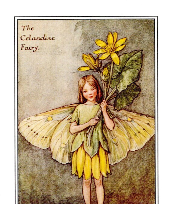 All Cicely Mary Barker Fairies